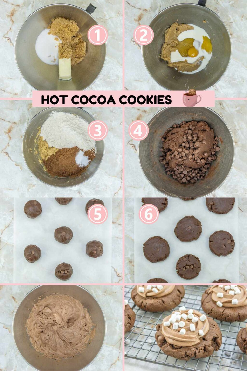 Hot Cocoa Cookies with Cocoa Frosting - nicetartes.com